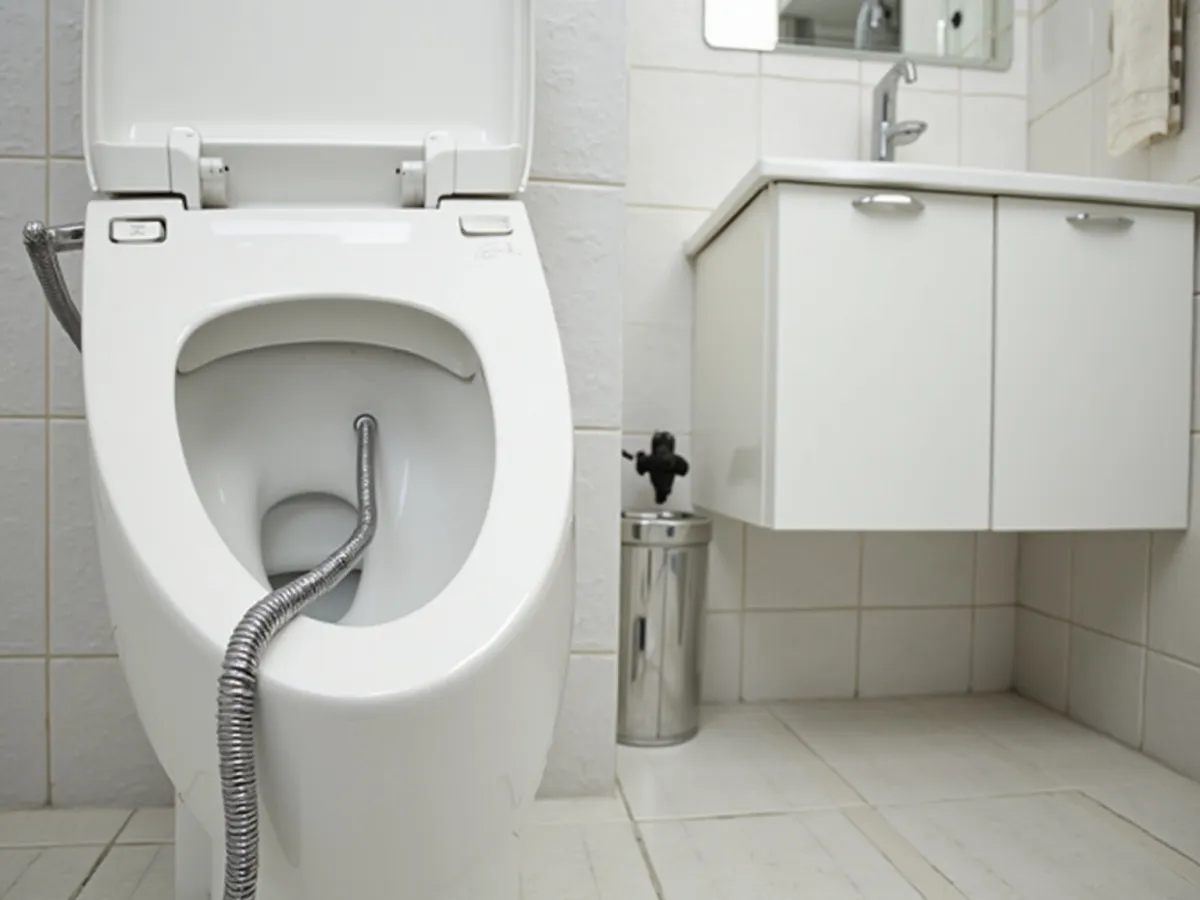 Understanding Toilet Snake Rental: Essential Insights for Your Needs